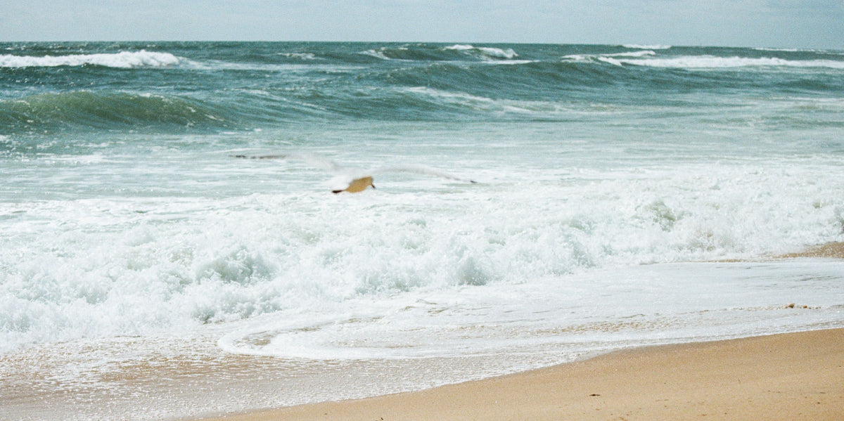 SABO | Shop Women's Summer Clothing Online Australia.